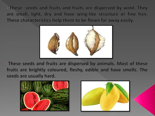 Unit 2 survival of species | PPTX | Pets