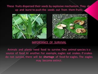 Unit 2 survival of species | PPTX