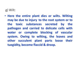 Unit 2 Symptoms.pdfffff plant disease diagnosis | PDF