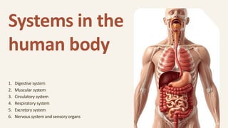 Comprehensive Overview of Human Body Systems and Their Functions | PDF