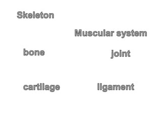 Unit2 the body | PPT