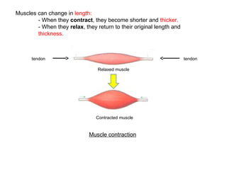 Unit2 the body | PPT