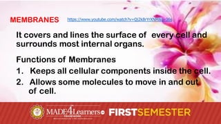 Unit 2 The Cell Tissues Membranes and Glands.pdf