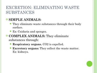 Unit 2 The nutrition function | PPT
