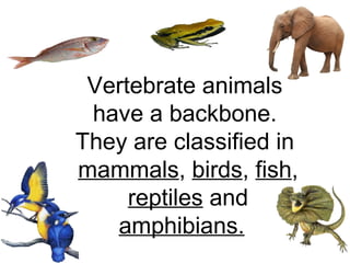 Unit 2 the reptiles. | PPT