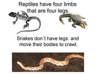 Unit 2 the reptiles. | PPT