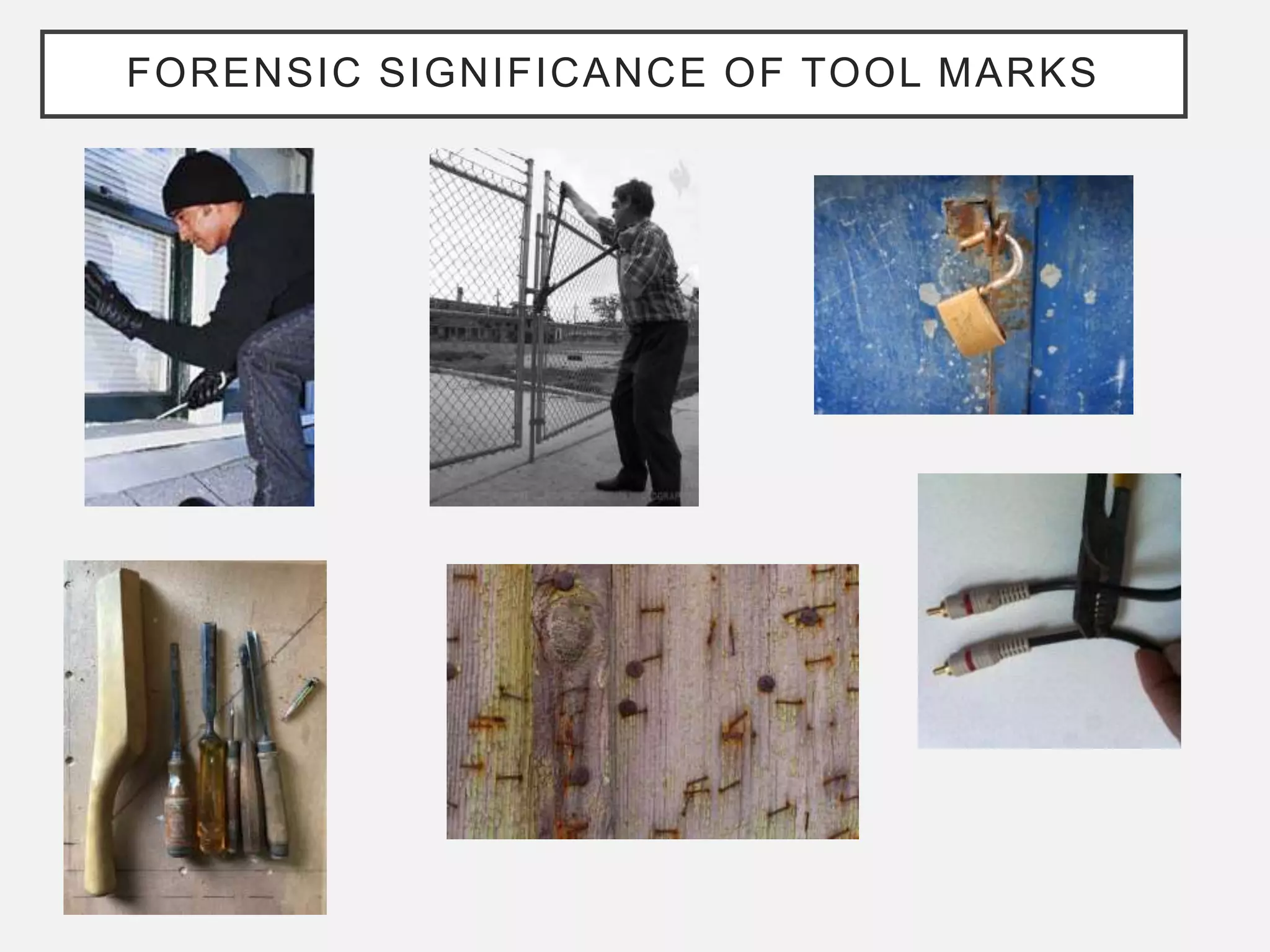 Unit2_Toolmark impressions.pptx