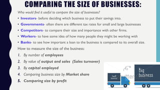 Unit 2 types of business activities Business IGCSE | PDF