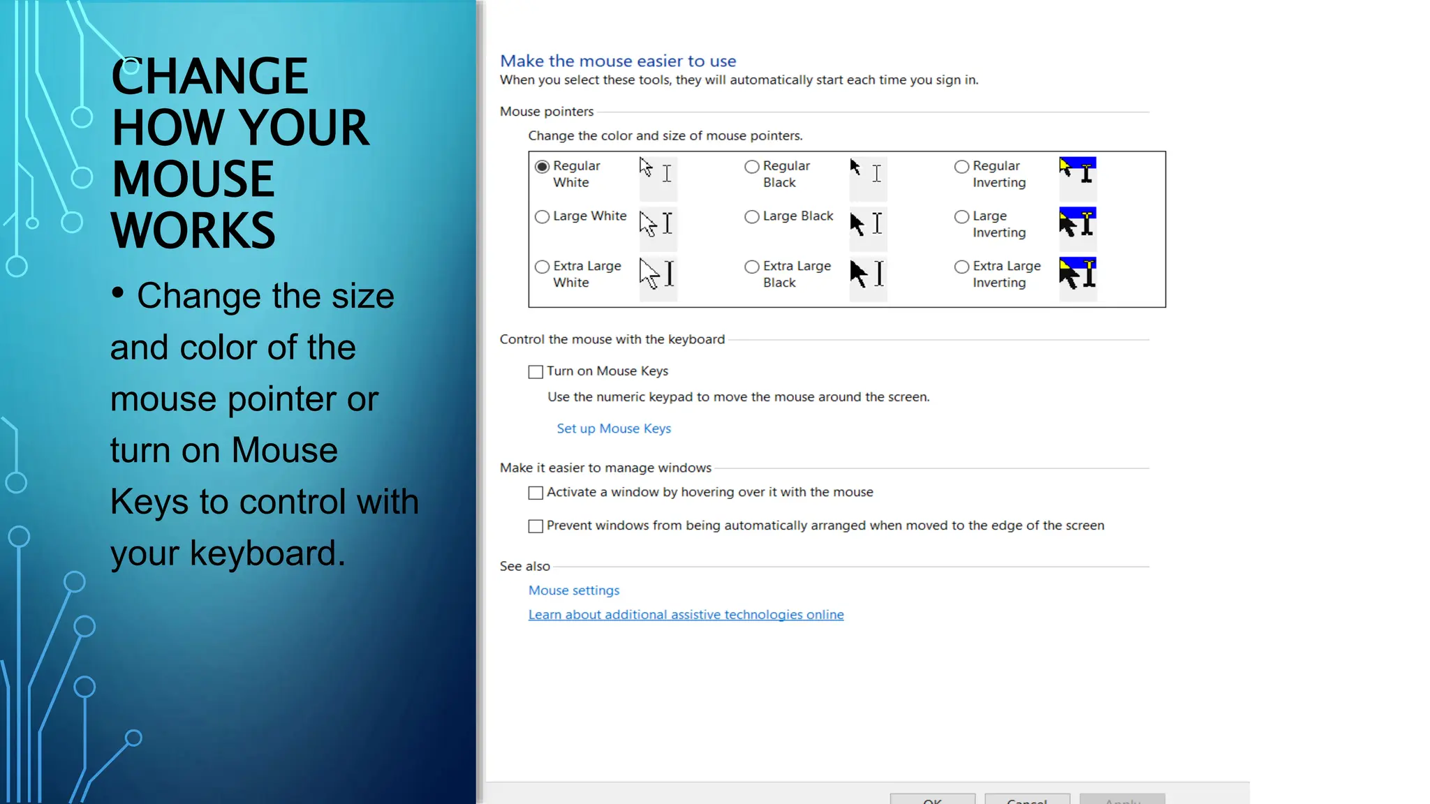 Unit 2 web applications(basic).pptx