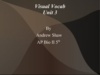 Unit 3 Vocab | PPT