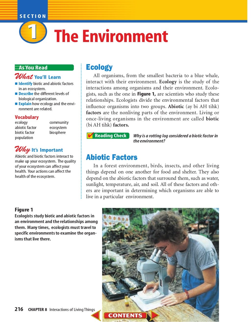 Glencoe Physical Science 2002 Worksheets Free Download Gambr co Glencoe Physical Science 2002 Worksheets Free Download Gambr co