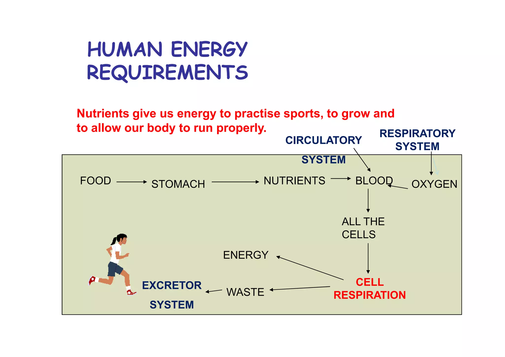 Unit3 Nutrients | PDF