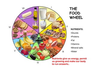 Unit3 Nutrients | PDF