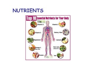 Unit3 Nutrients | PDF