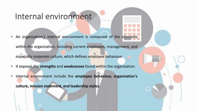 Factors Affecting Organisational Structure | PPTX