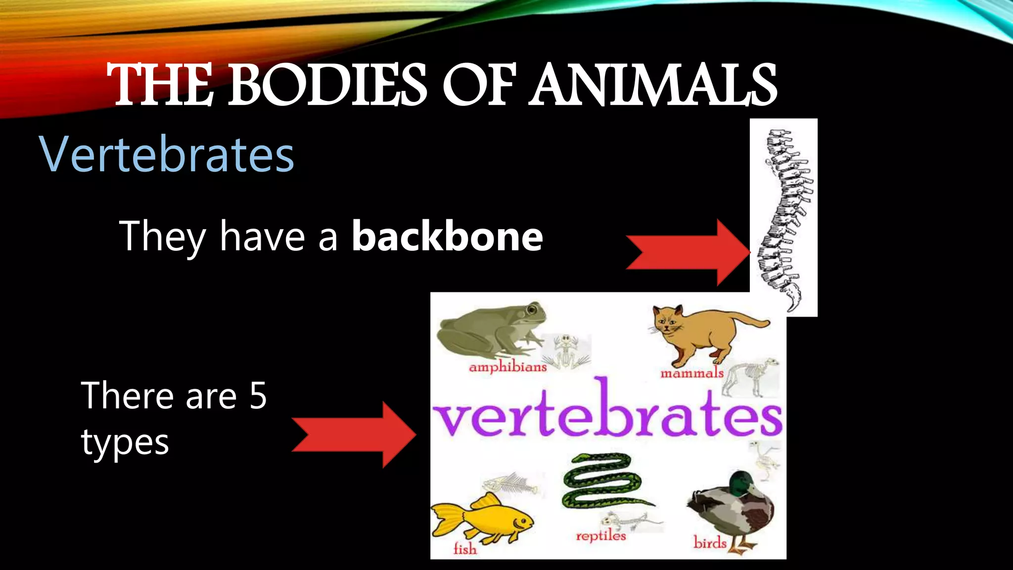 Unit 3. living organisms. animals | PPTX