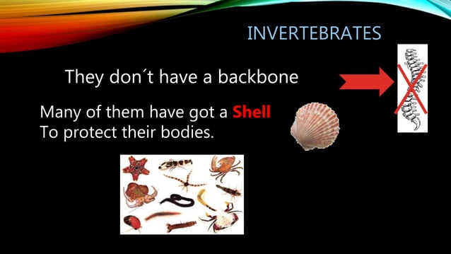 Unit 3. living organisms. animals | PPTX