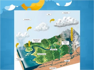 Unit 3. Water | PPT