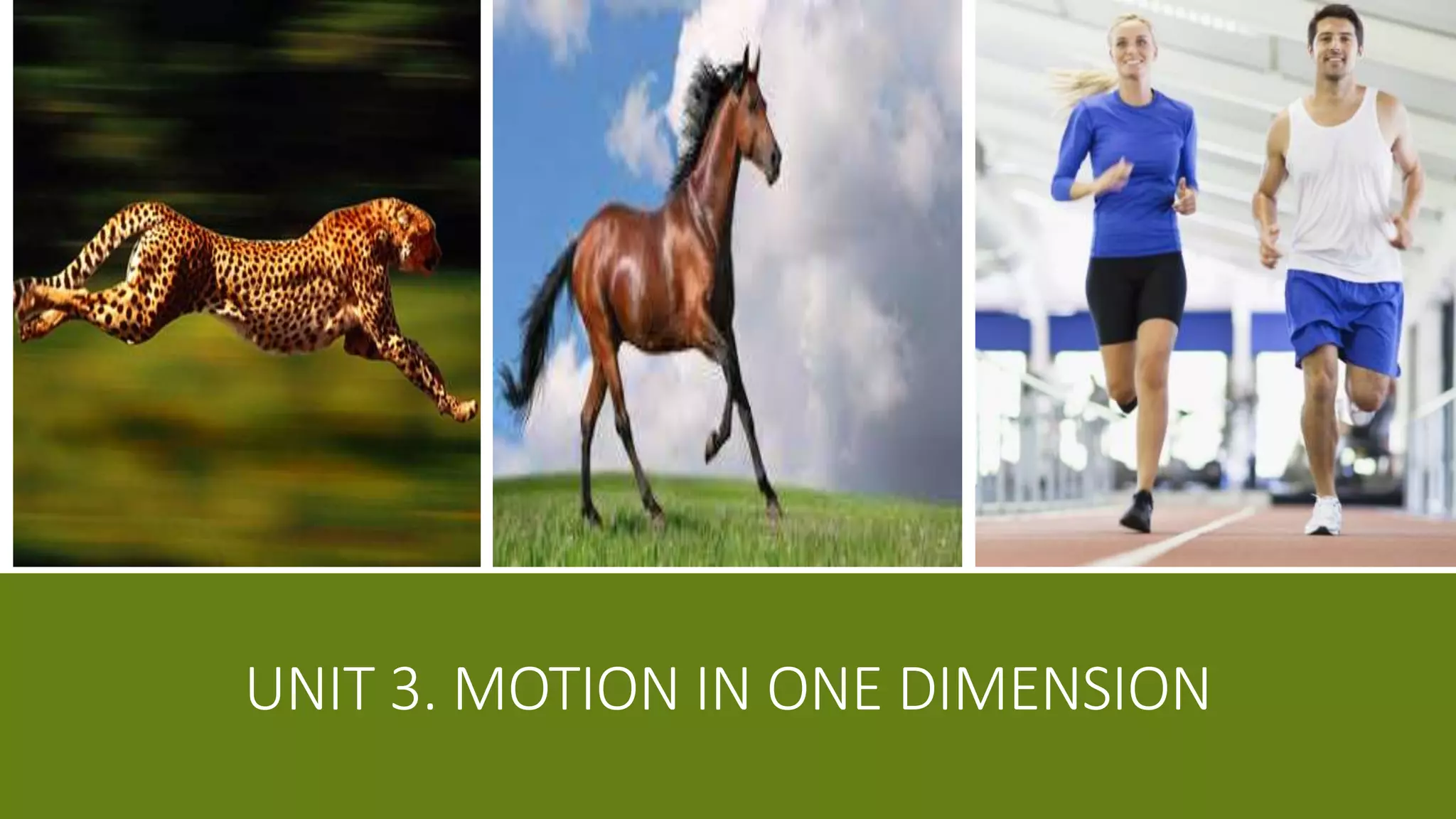 Motion in one dimension | PPTX | Physics | Science