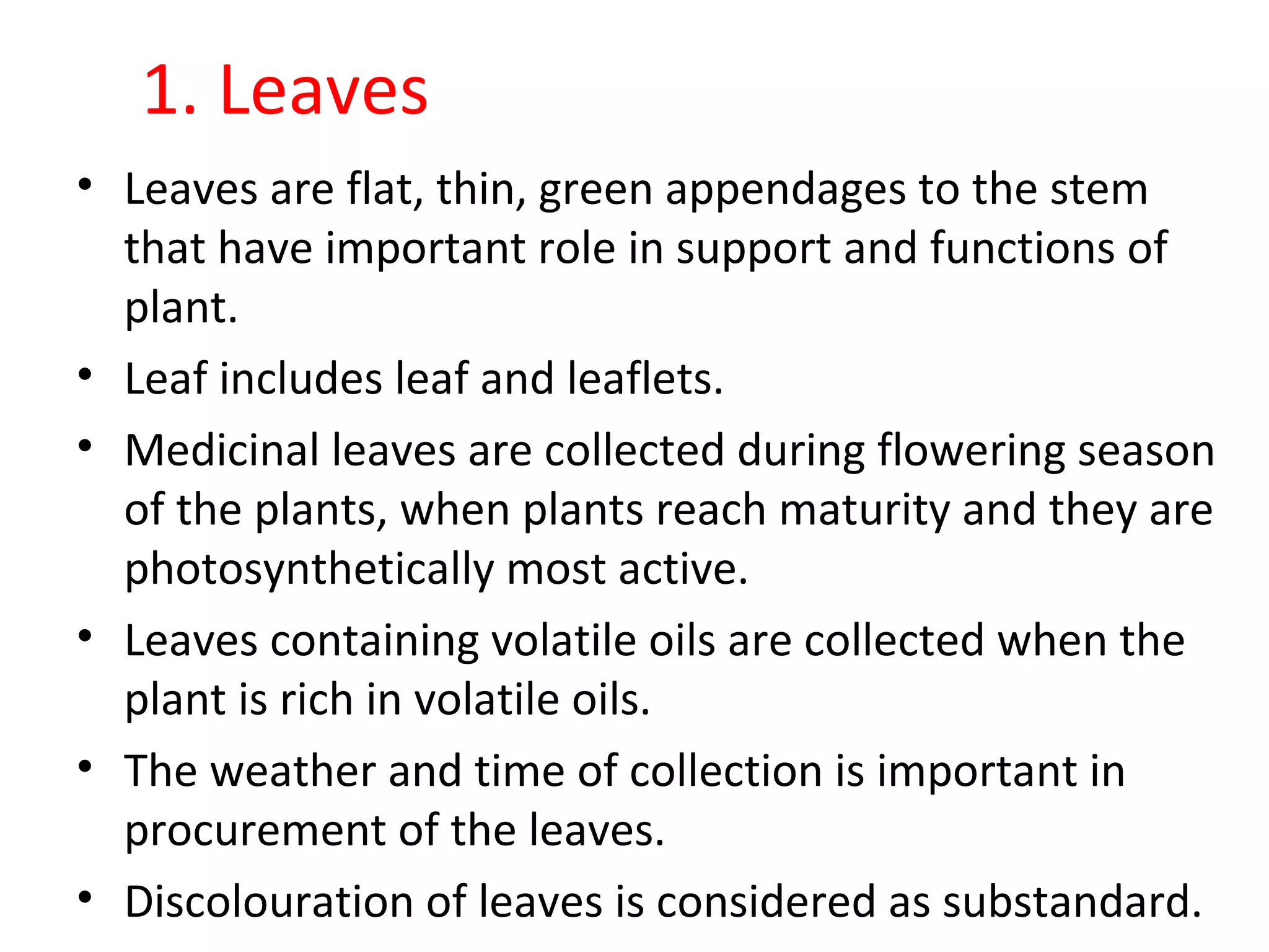 Parts of Plant, plant tissues, microscopy and morphology | PPT