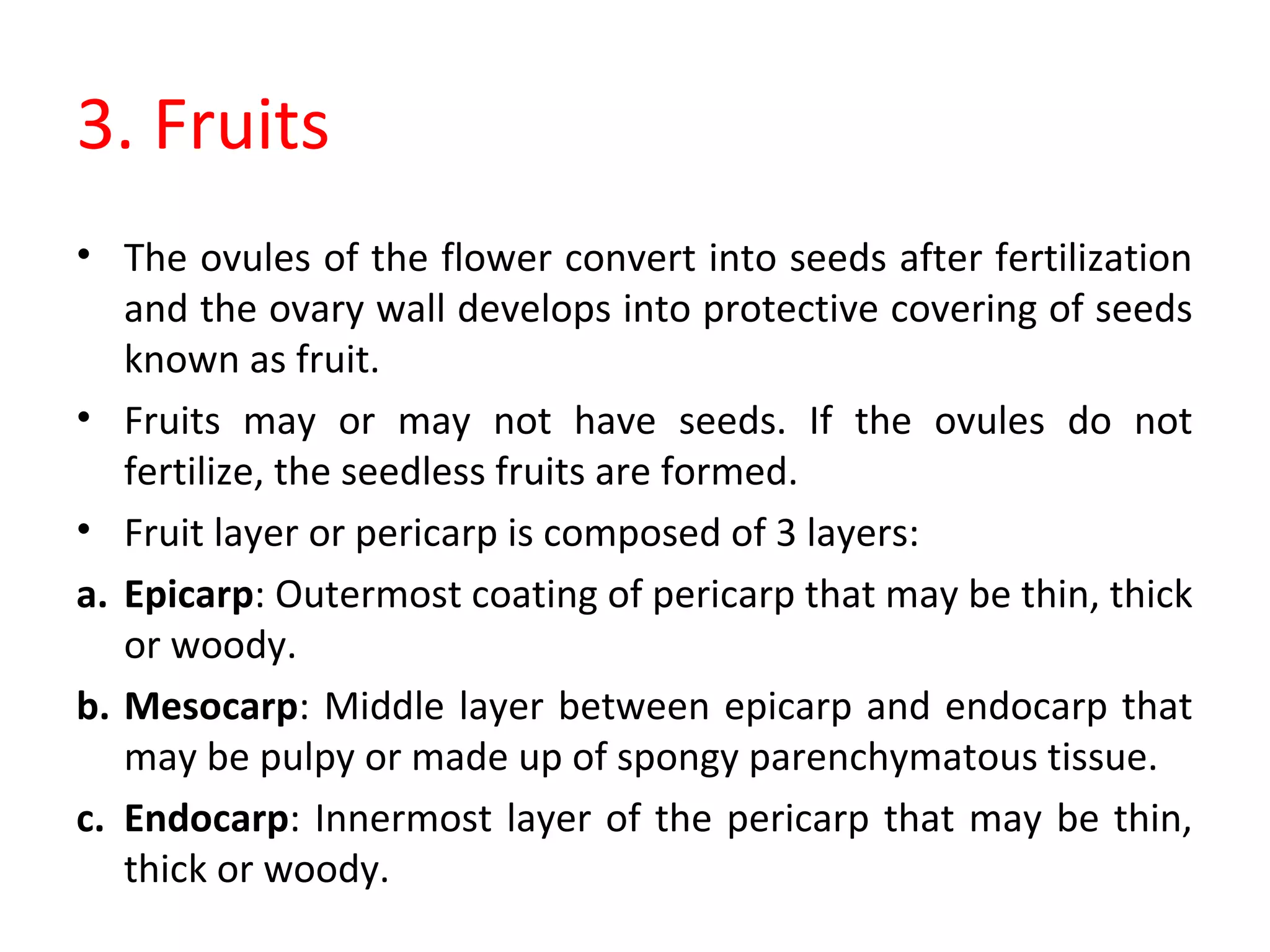 Parts of Plant, plant tissues, microscopy and morphology | PPT