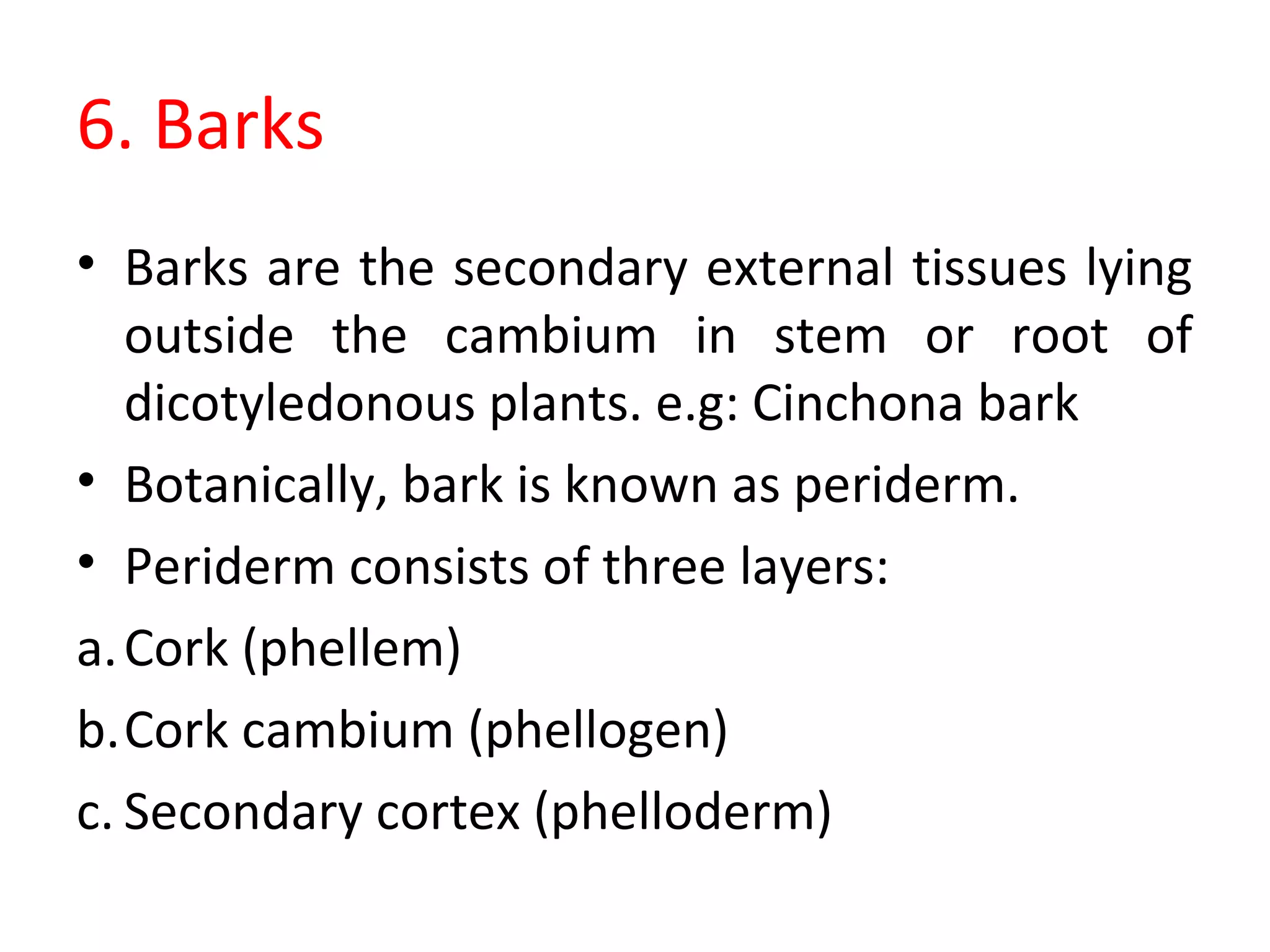 Parts of Plant, plant tissues, microscopy and morphology | PPT
