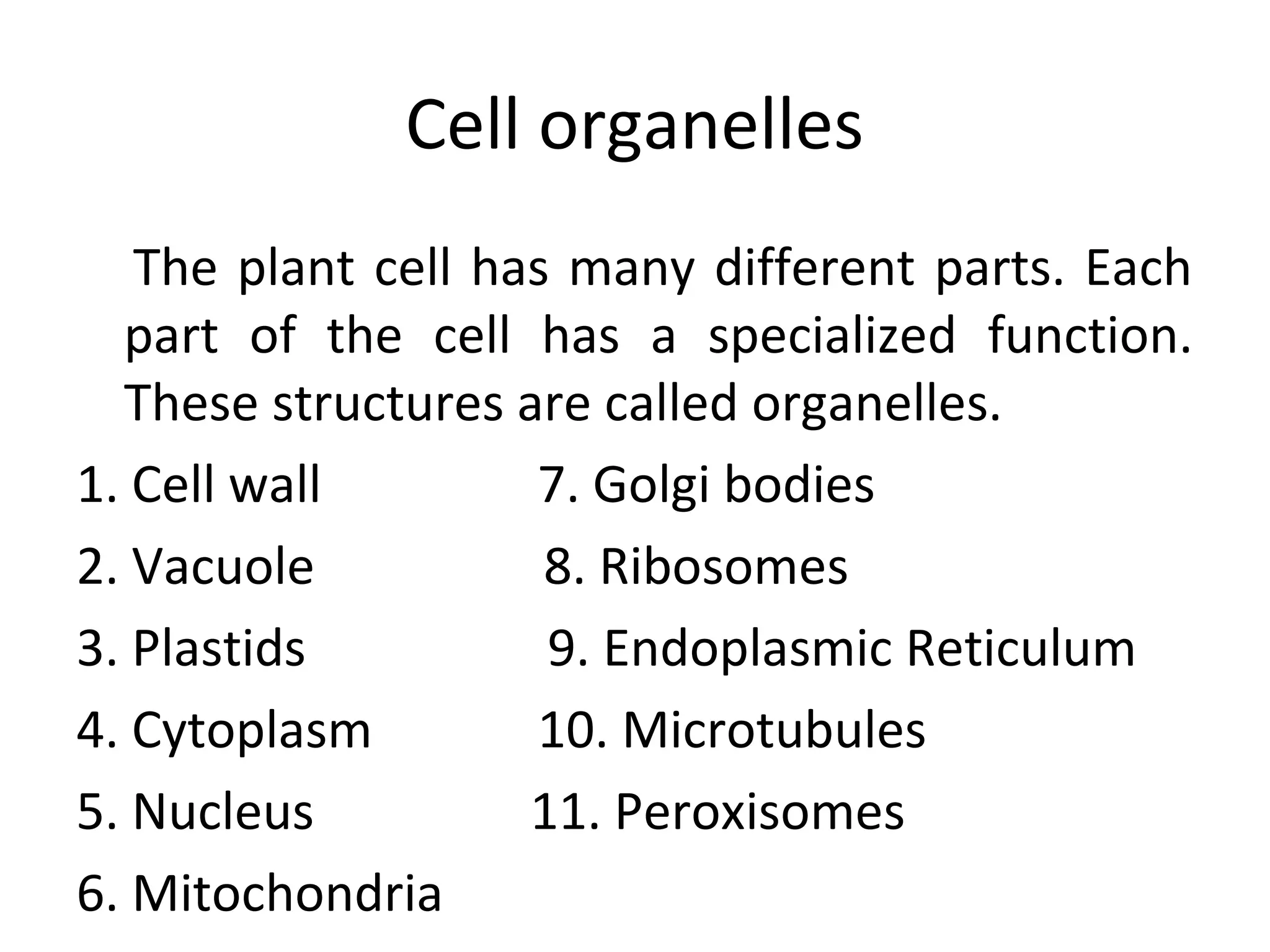 Parts of Plant, plant tissues, microscopy and morphology | PPT