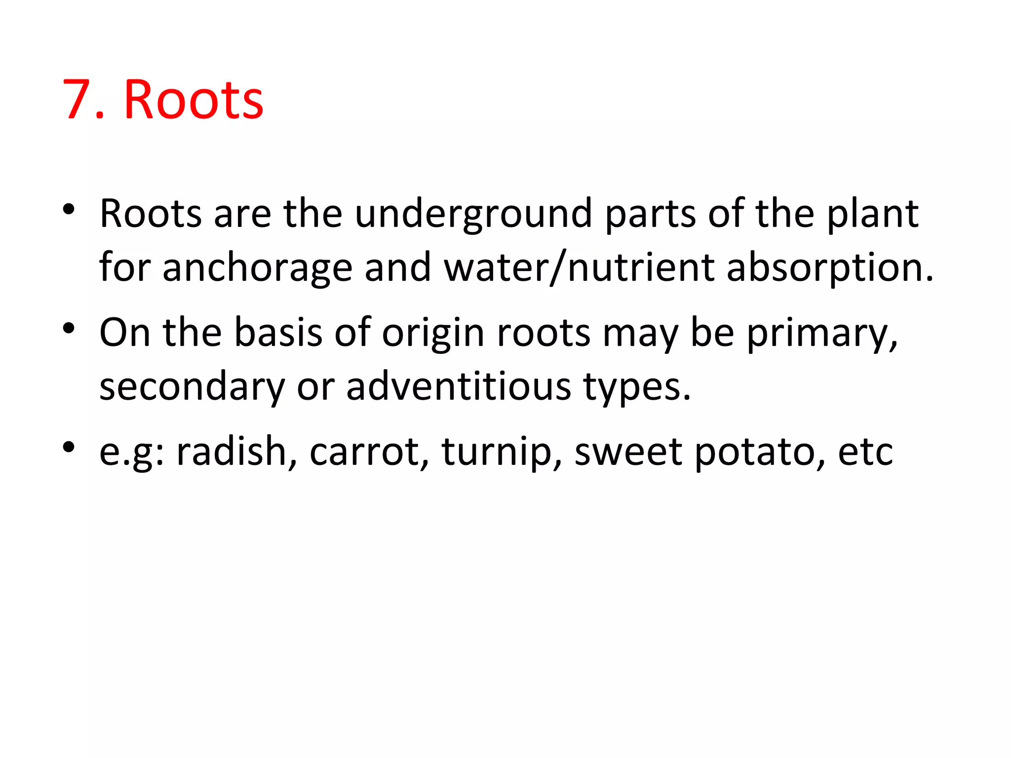 Parts of Plant, plant tissues, microscopy and morphology | PPT
