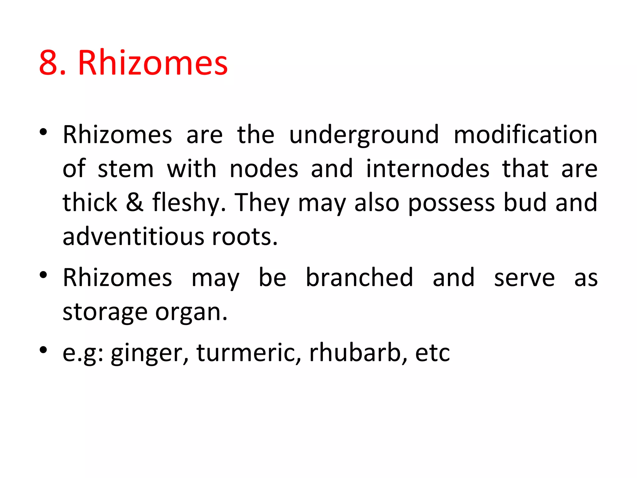 Parts of Plant, plant tissues, microscopy and morphology | PPT