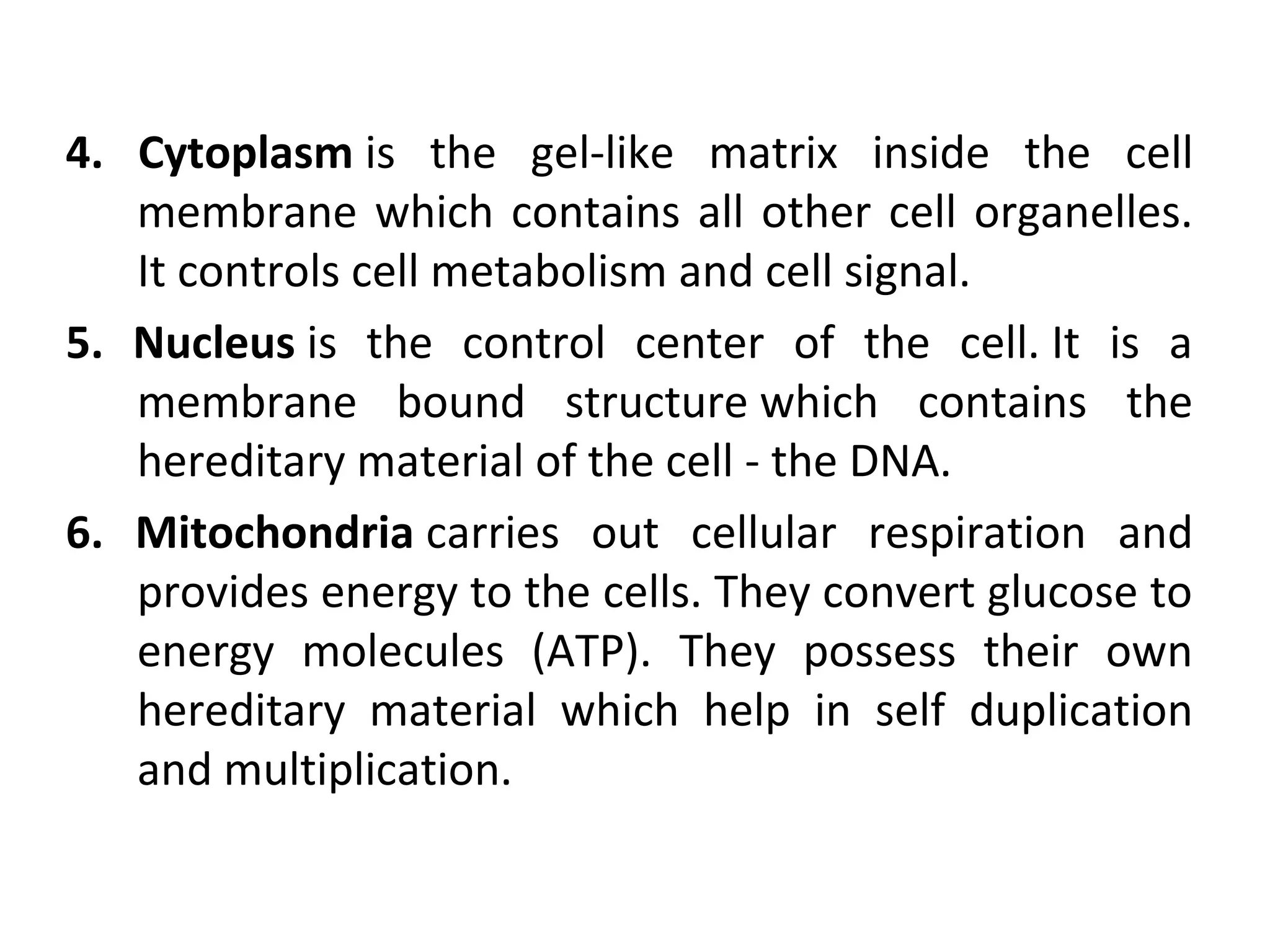 Parts of Plant, plant tissues, microscopy and morphology | PPT