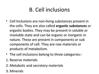 Parts of Plant, plant tissues, microscopy and morphology | PPT