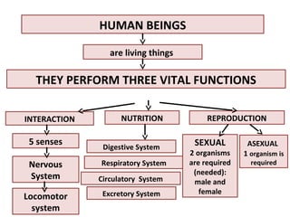 Unit 3. REPRODUCTION | ODP
