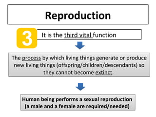 Unit 3. REPRODUCTION | ODP