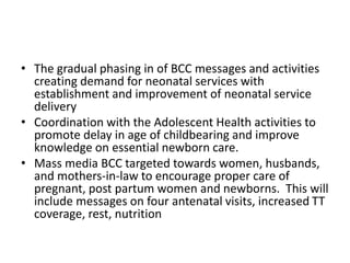national neonatal health stratigies 2004 | PPTX