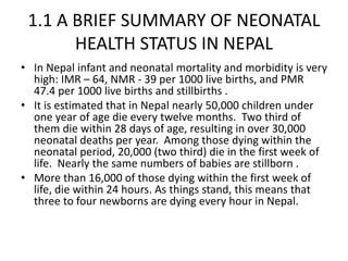 national neonatal health stratigies 2004 | PPTX