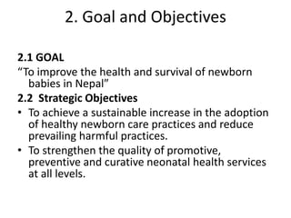 national neonatal health stratigies 2004 | PPT