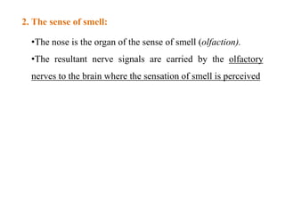 Respiratory System | PPT