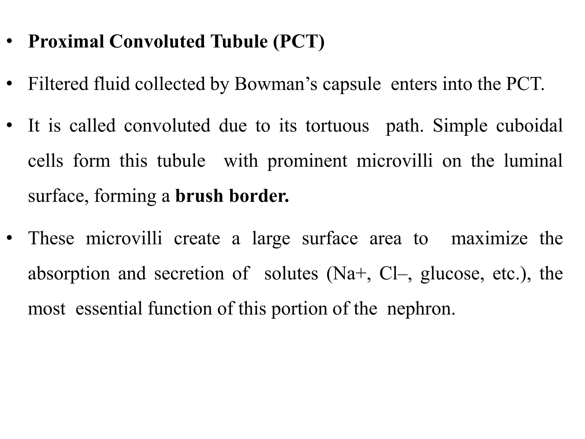 Urinary System | PPT
