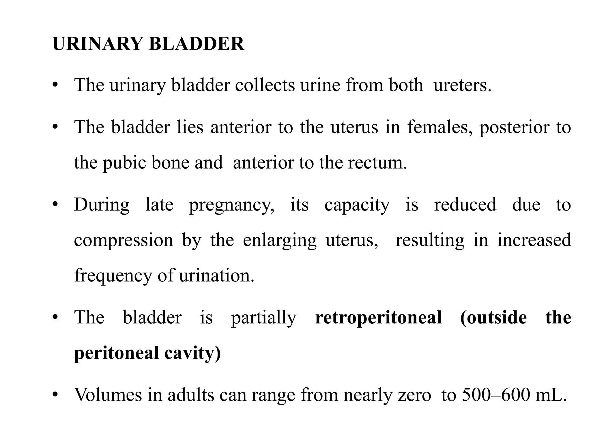 Urinary System | PPT