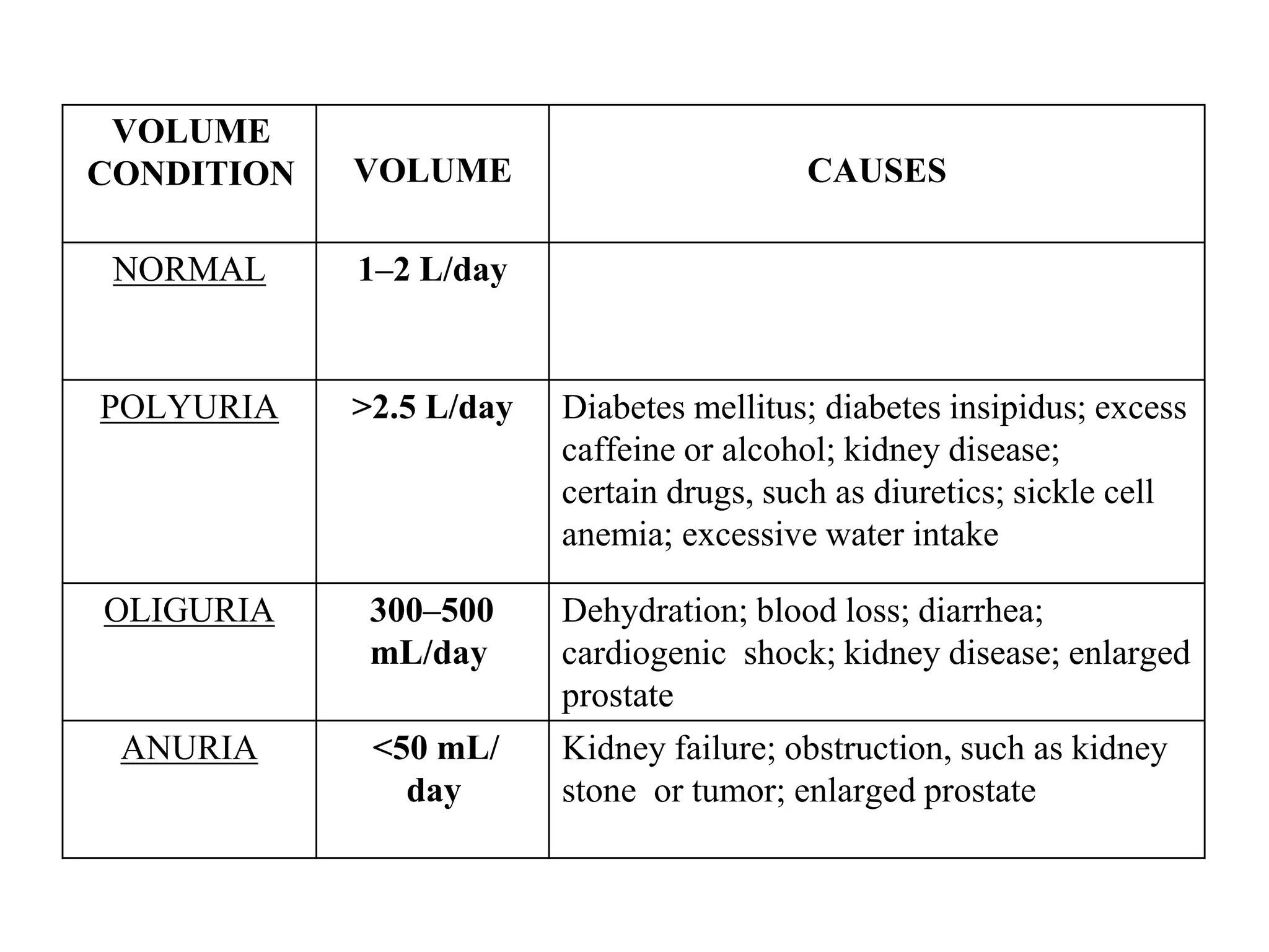 Urinary System | PPT