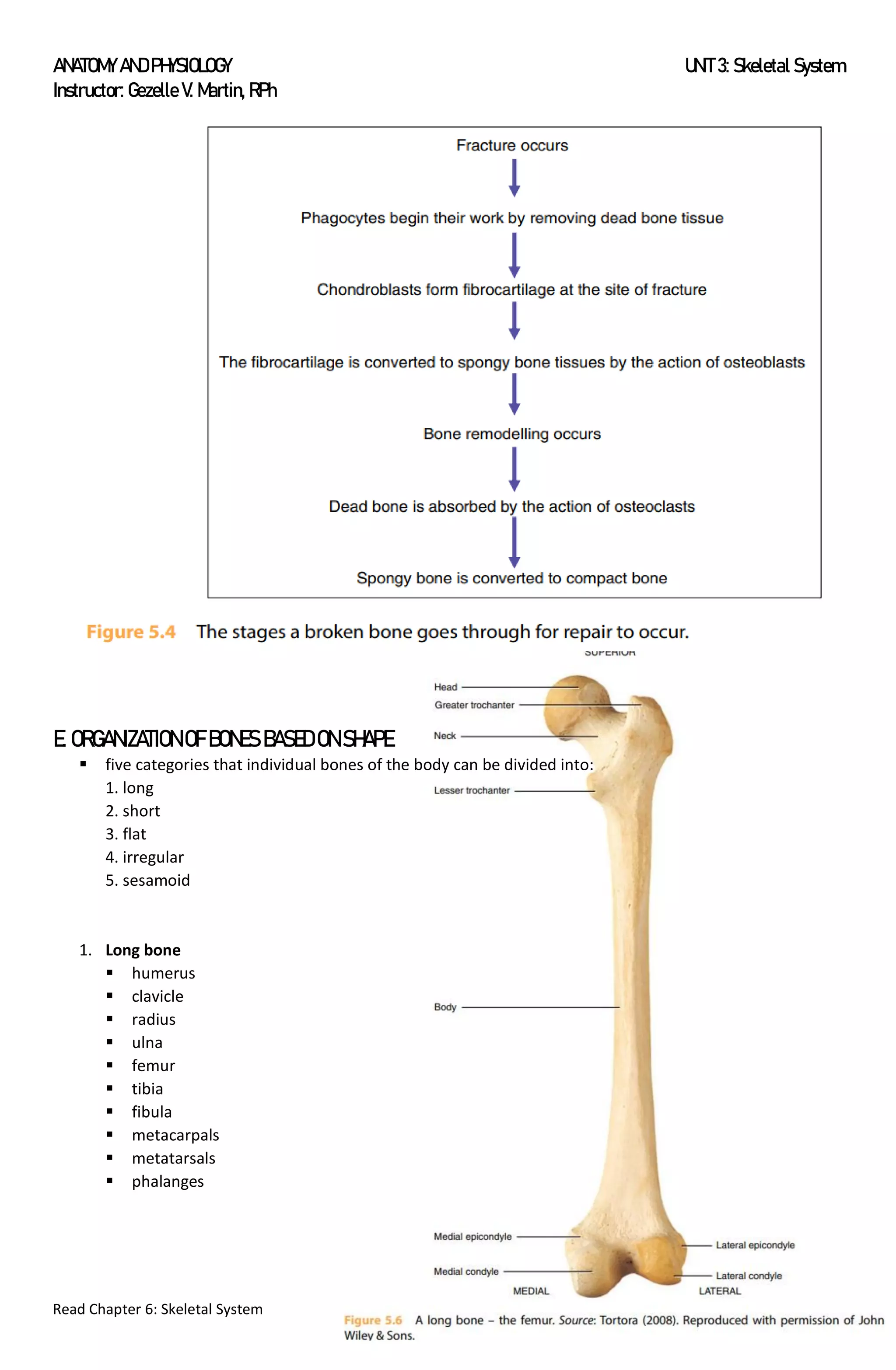 Human Physiology & Pathophysiology UNIT 3.pdf