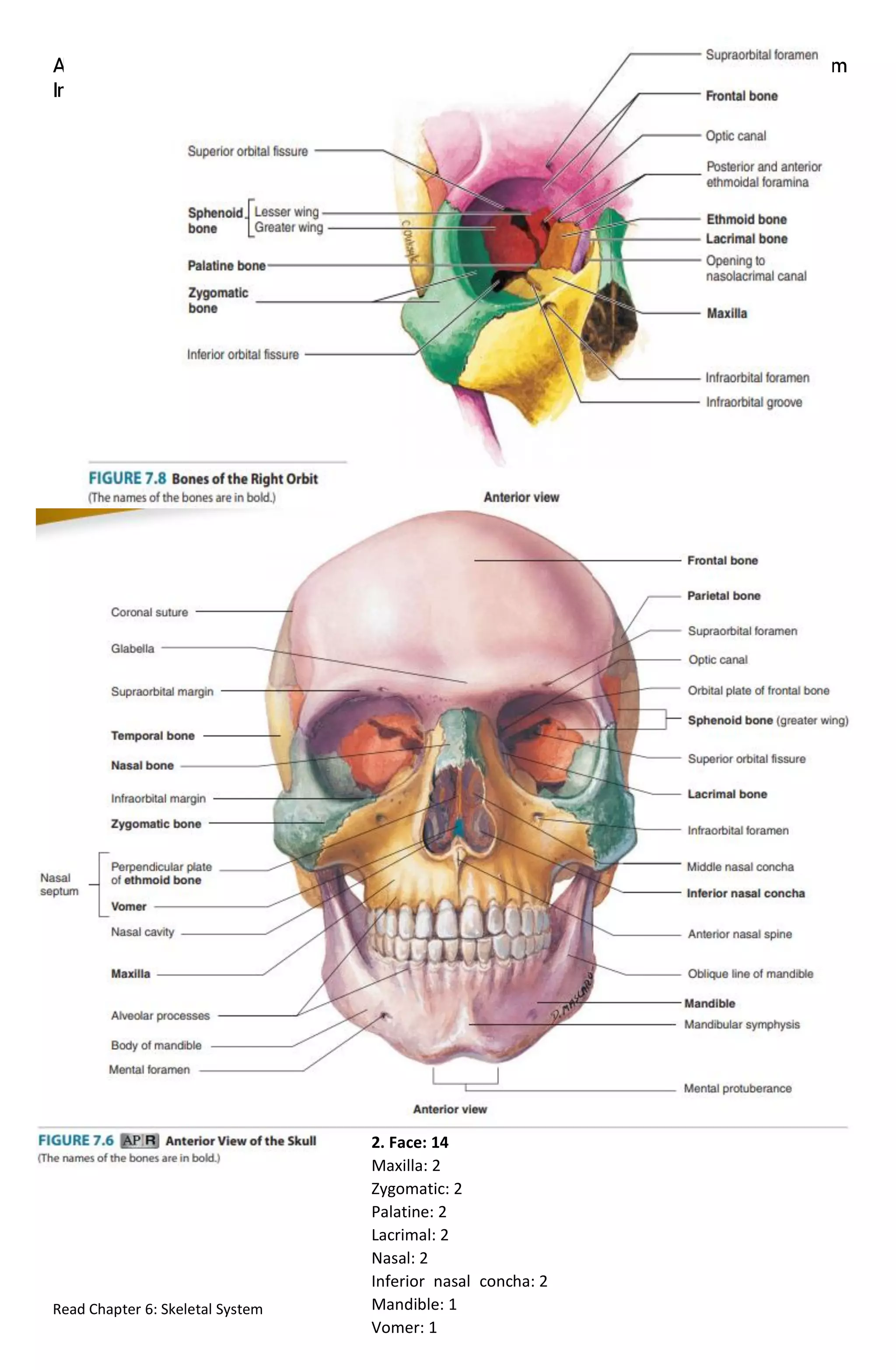 Human Physiology & Pathophysiology UNIT 3.pdf