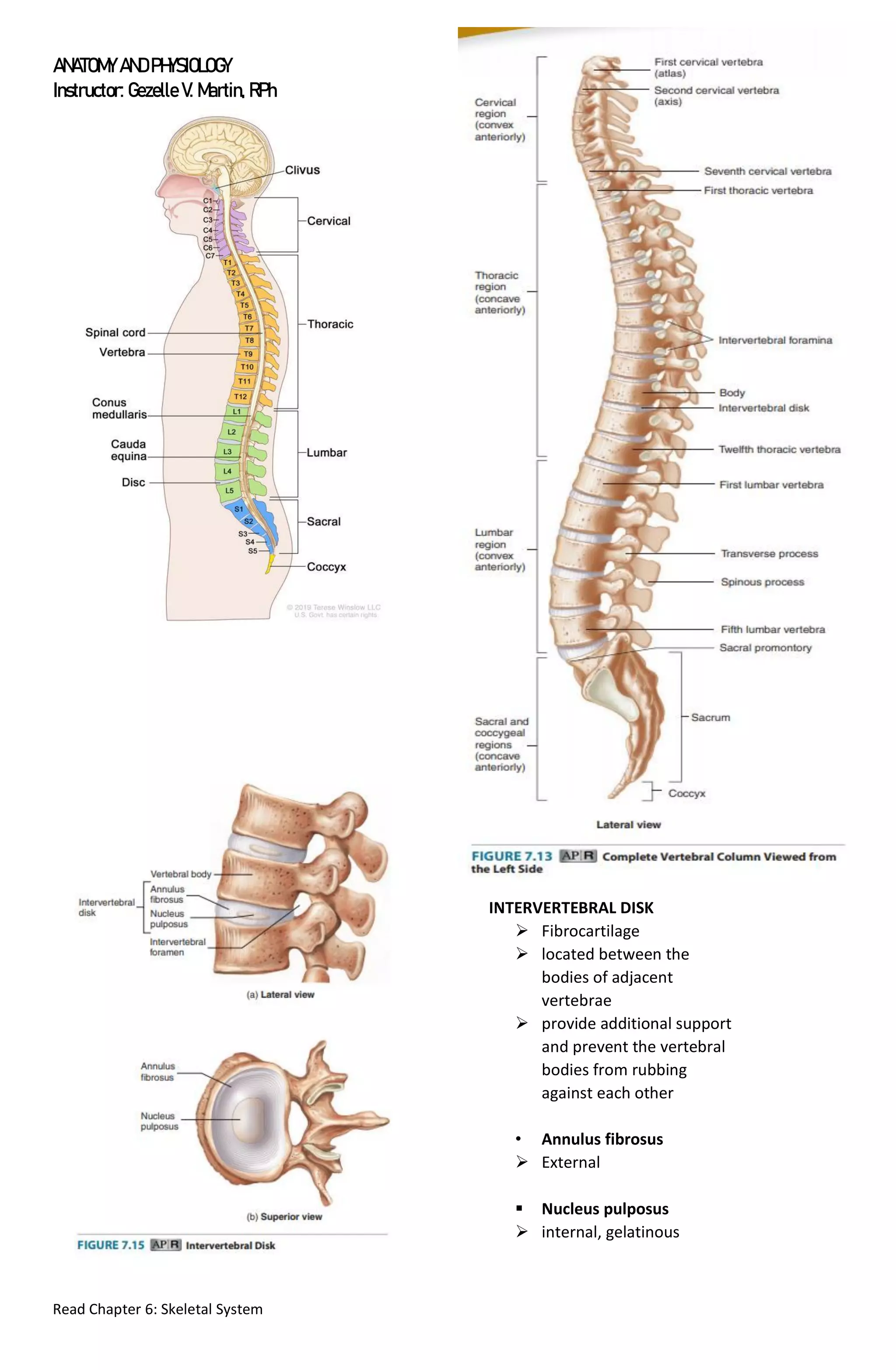 Human Physiology & Pathophysiology UNIT 3.pdf