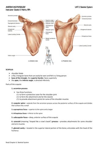 Human Physiology & Pathophysiology UNIT 3.pdf