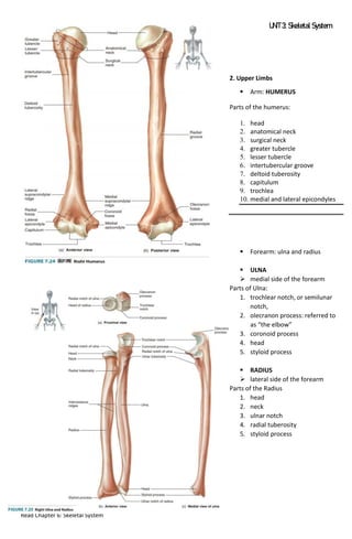 Human Physiology & Pathophysiology UNIT 3.pdf
