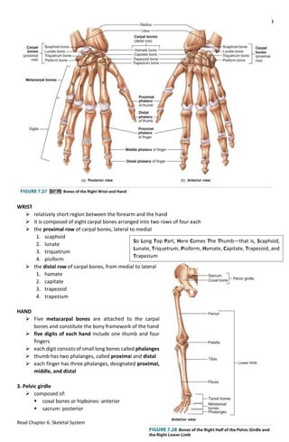 Human Physiology & Pathophysiology UNIT 3.pdf