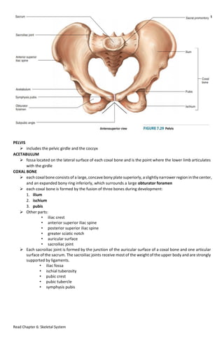 Human Physiology & Pathophysiology UNIT 3.pdf