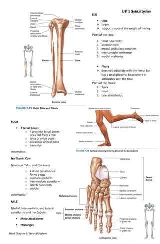 Human Physiology & Pathophysiology UNIT 3.pdf
