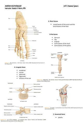 Human Physiology & Pathophysiology UNIT 3.pdf
