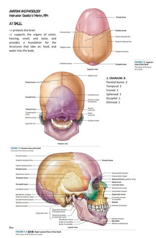 Human Physiology & Pathophysiology UNIT 3.pdf
